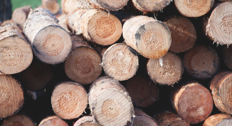 Introducing ABODO Wood in the USA - reSAWN TIMBER co.