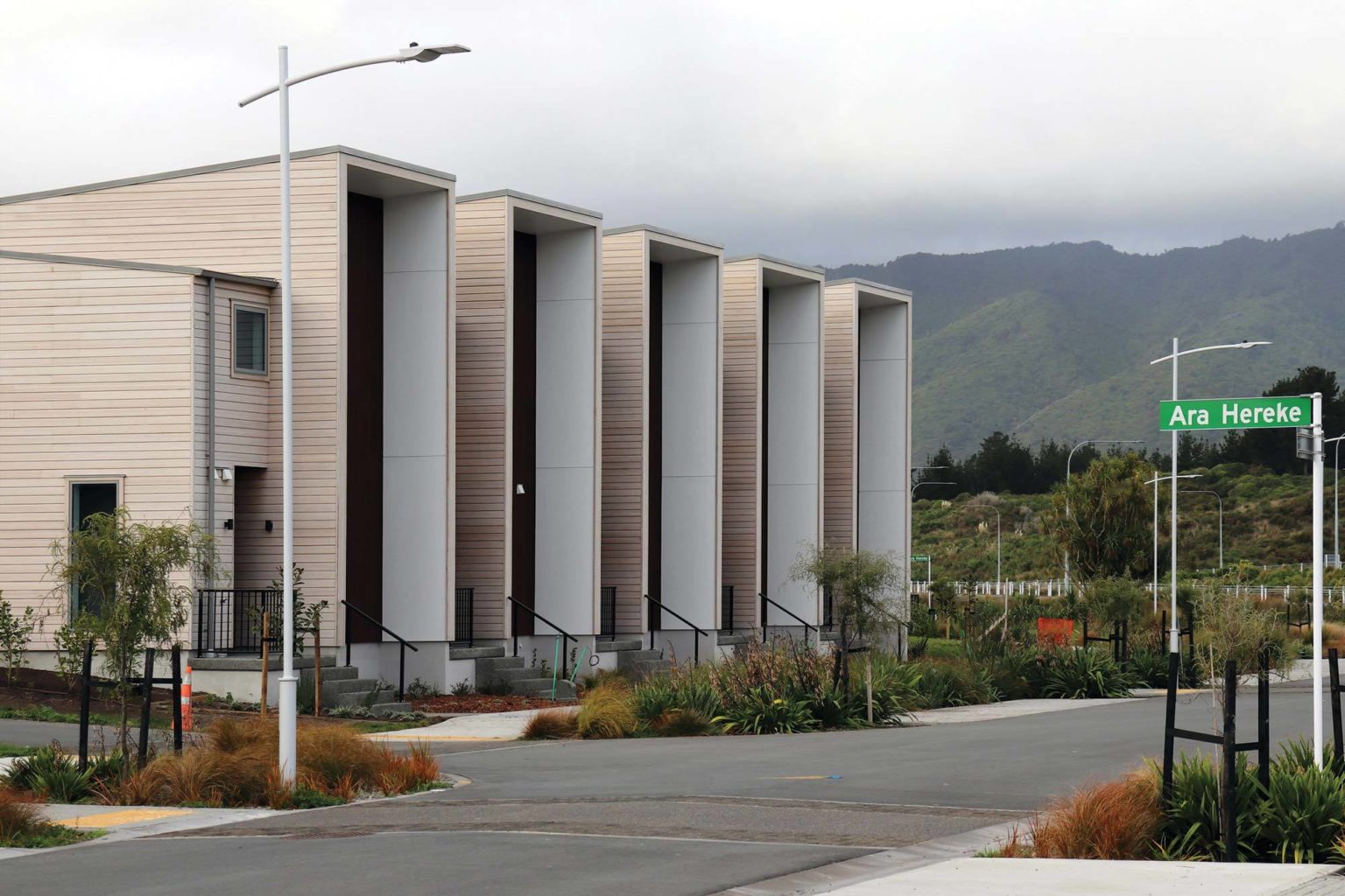 Ngārara Eco Development :: SiOO:X & NERO Vulcan Cladding