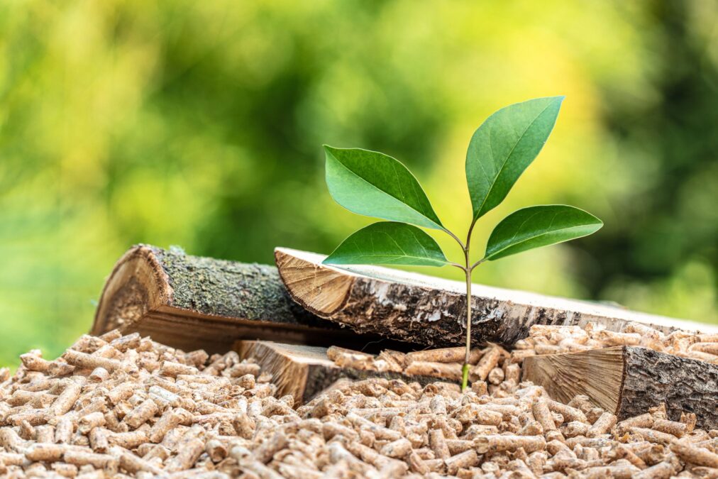 Inspiring Designs Archives - reSAWN TIMBER co.