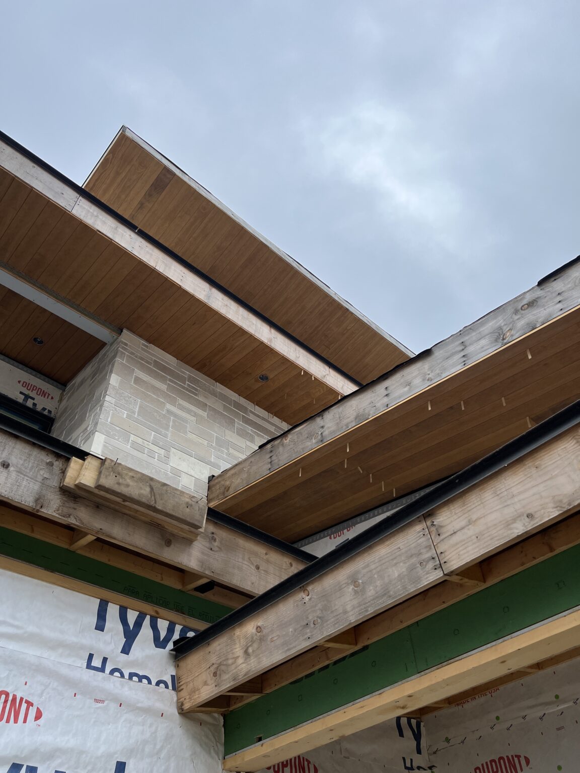 Grand Rapids Residence :: RAILAY 2C Accoya® Wood - reSAWN TIMBER co.